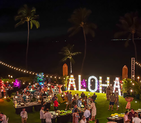 Case Studies - Hartmann Studios