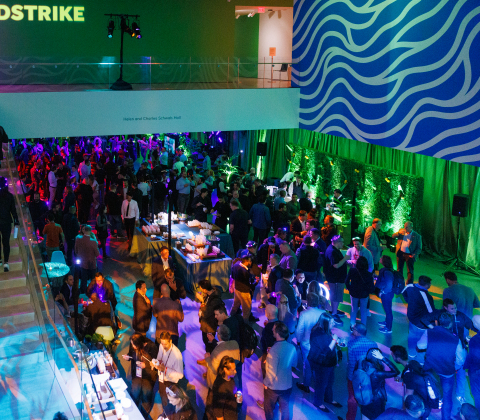 Case Studies - Hartmann Studios